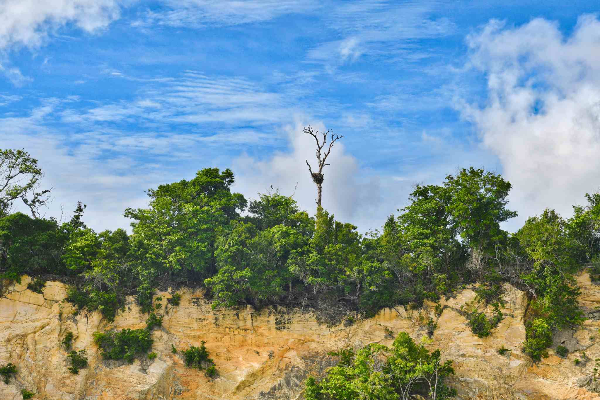 Cove Eco Resort - Beach-and-Bird